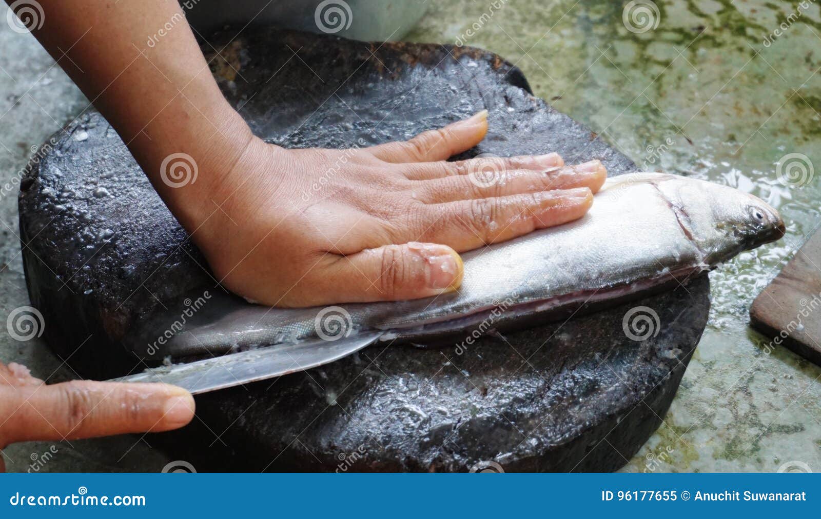 Cutting fish stock image. Image of slicing, chef, restaurant - 96177655