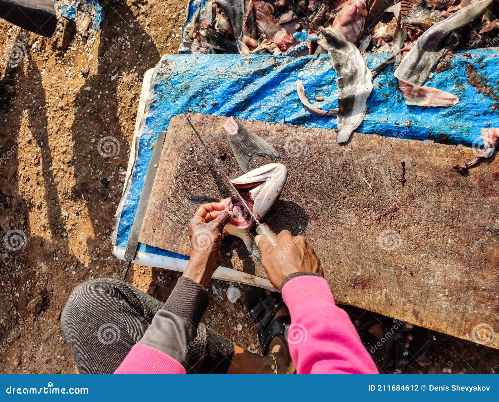 Cutting a Fish Head. Fishmongers& X27; Everyday Life Stock Photo ...