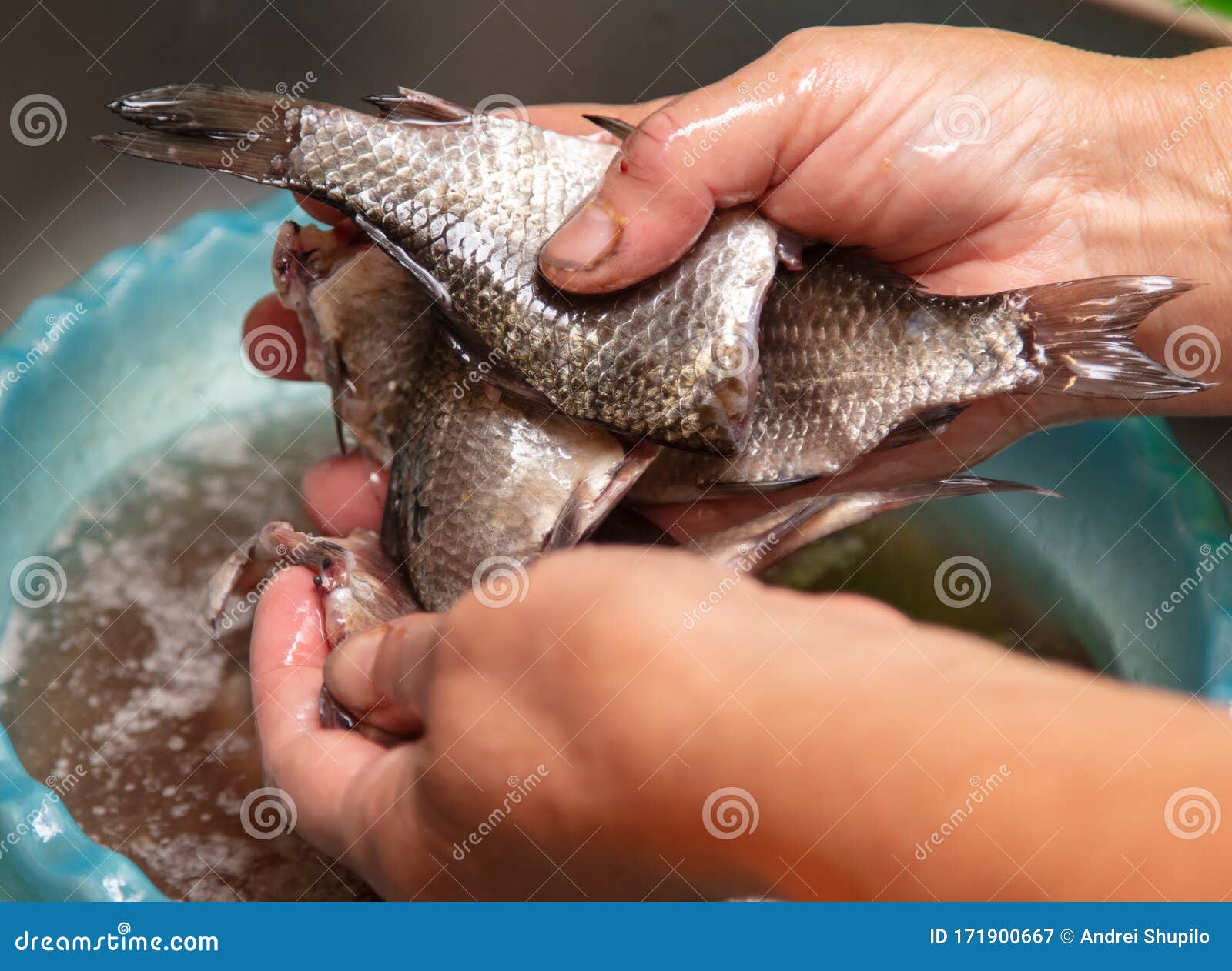 Cutting Fish in the Kitchen Stock Image - Image of sashimi, closeup ...