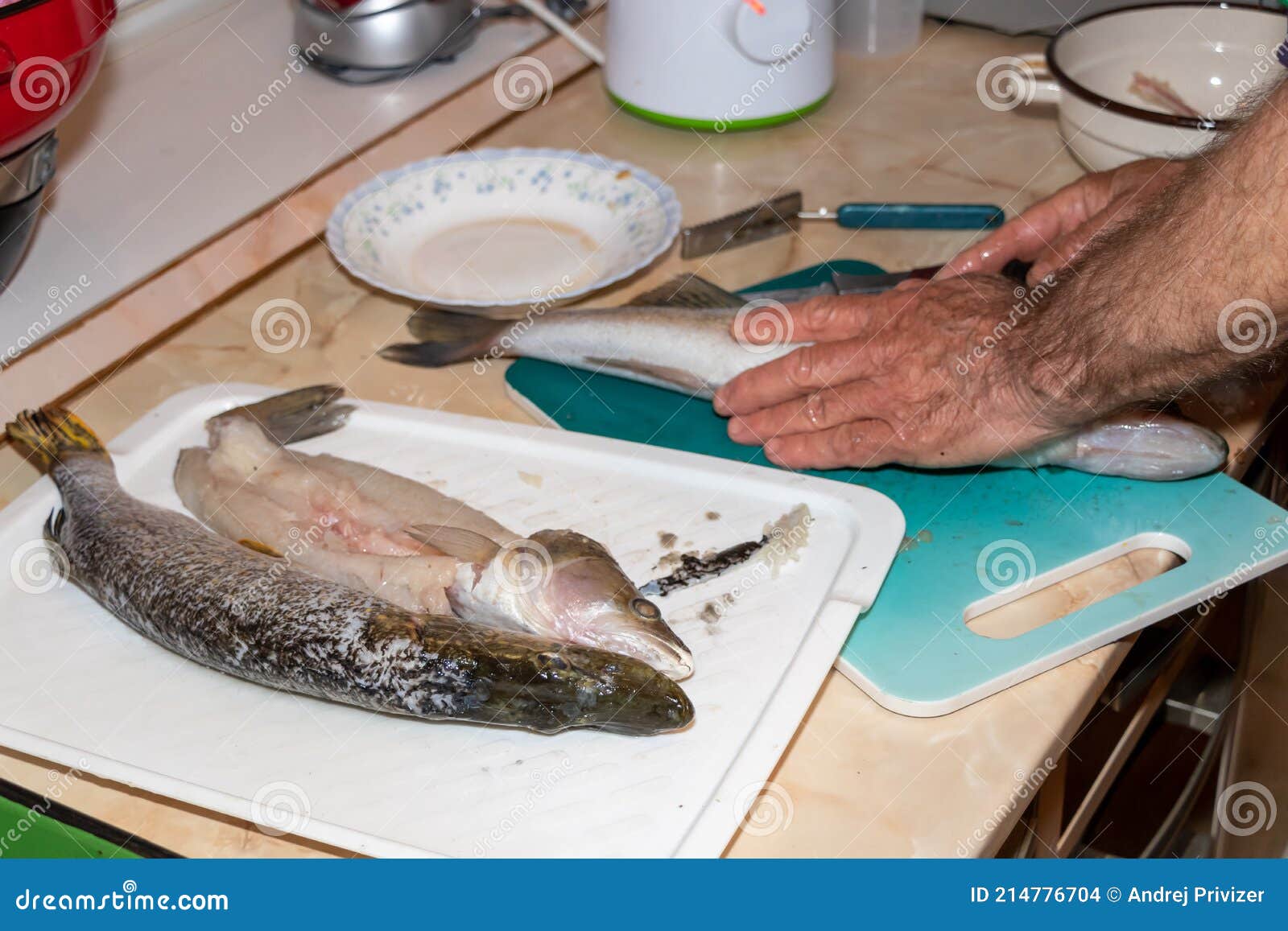 Cutting Fish in the Kitchen. Hands with a Knife Cut Up Fish on Cutting ...