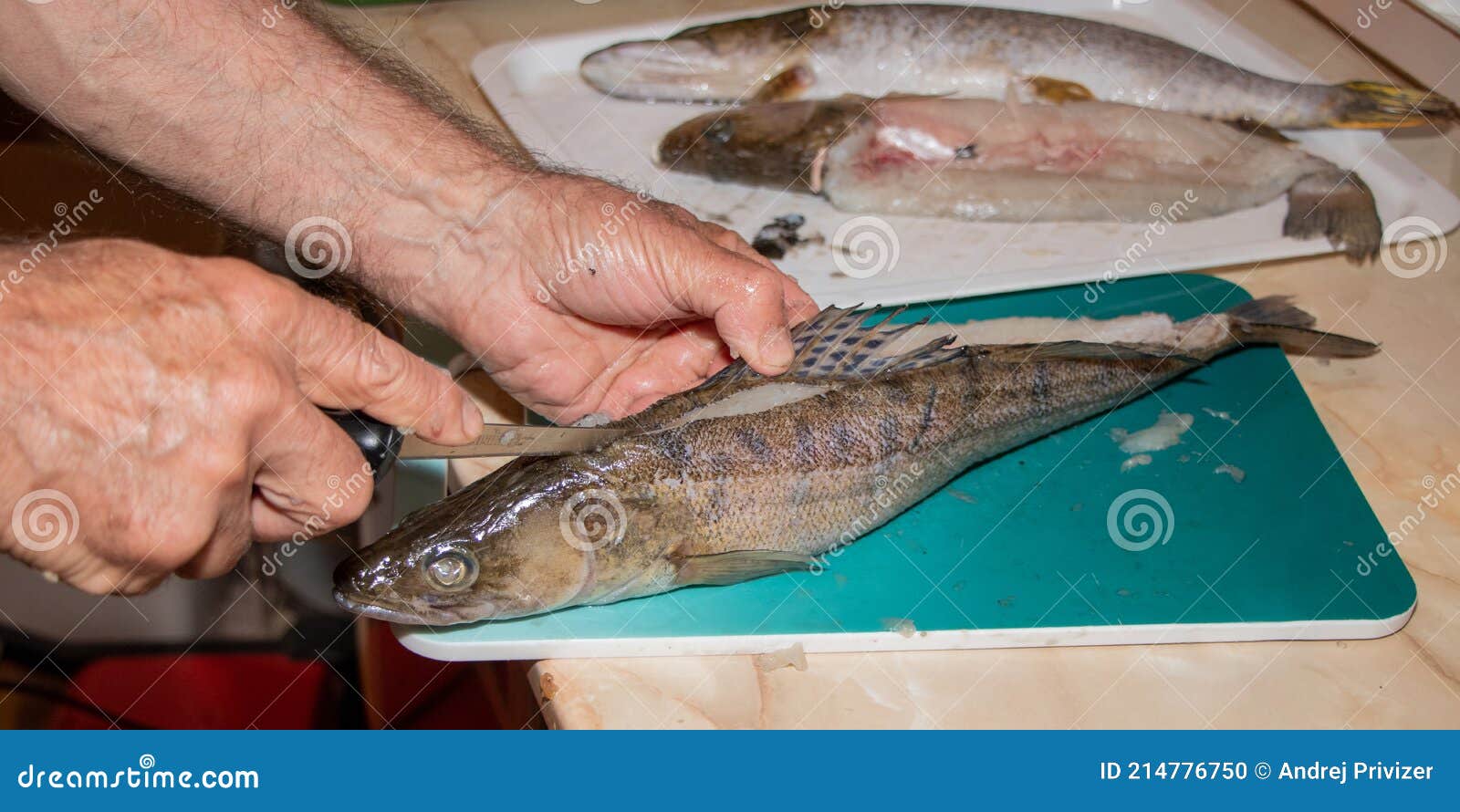 Cutting Fish in the Kitchen. Hands with a Knife Cut Up Fish on Cutting ...