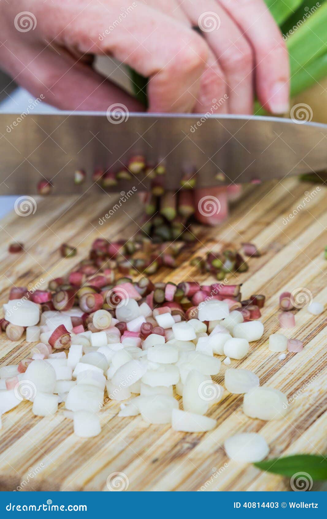 Cutting fresh ramps stock image. Image of locally, cutting - 40814403