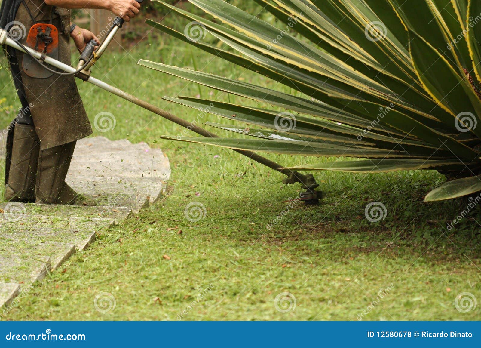 Cutting grass stock photo. Image of stair, stairs, mower - 12580678