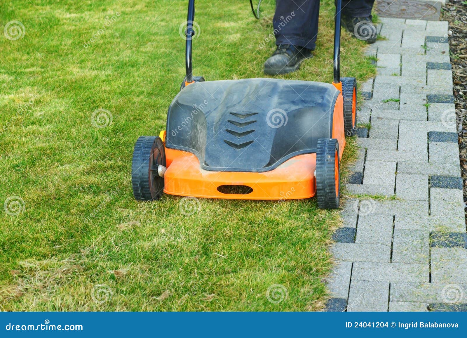 Cutting grass stock photo. Image of maintenance, grazing - 24041204