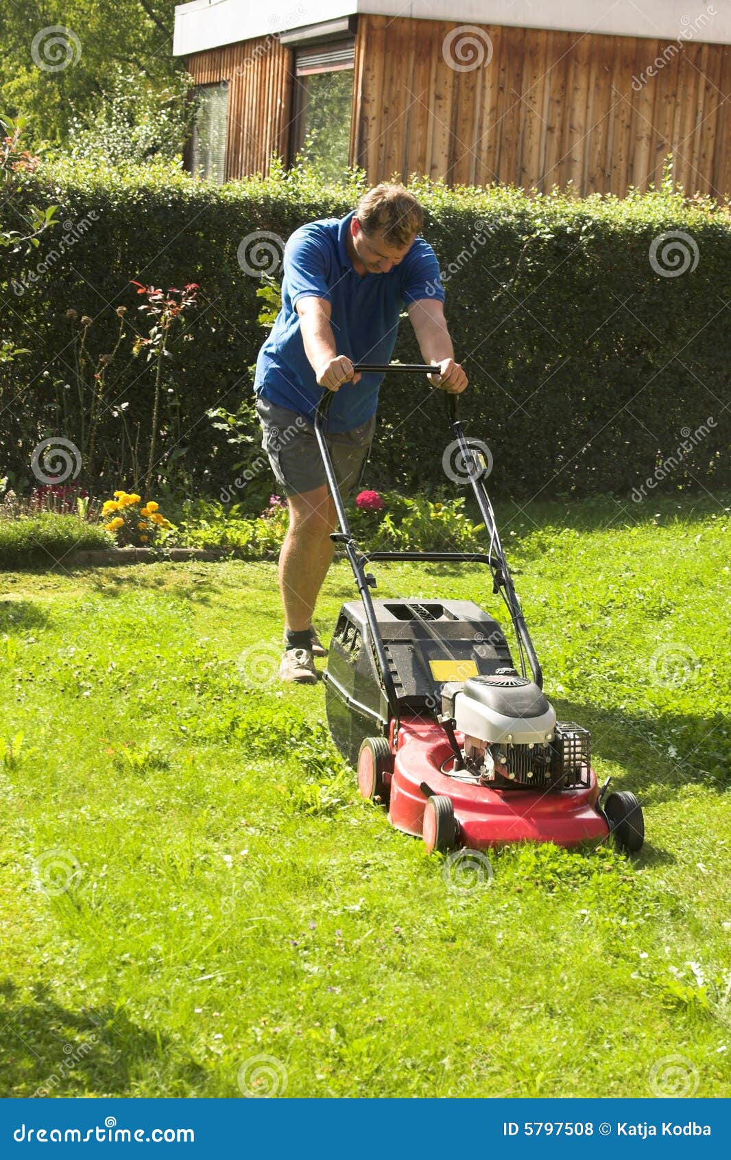 Cutting grass stock photo. Image of outdoors, green, cultivated - 5797508