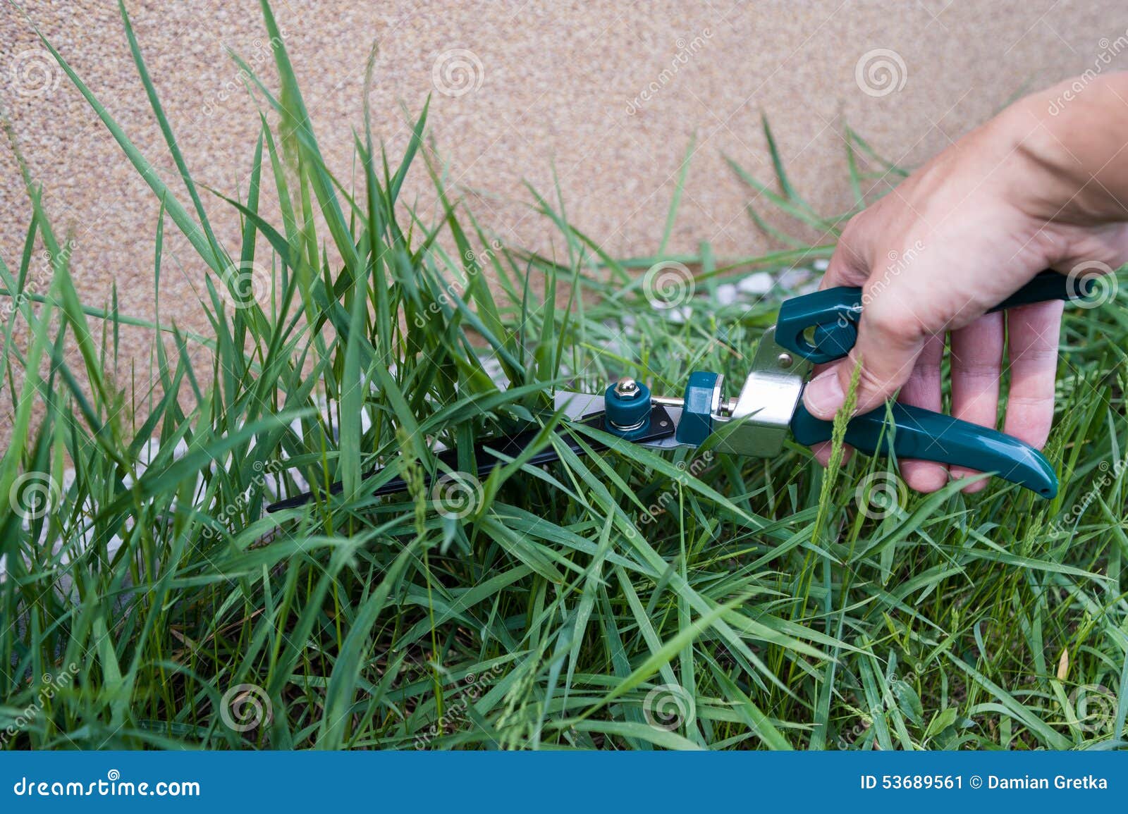 Cutting grass stock image. Image of spring, summer, worker - 53689561