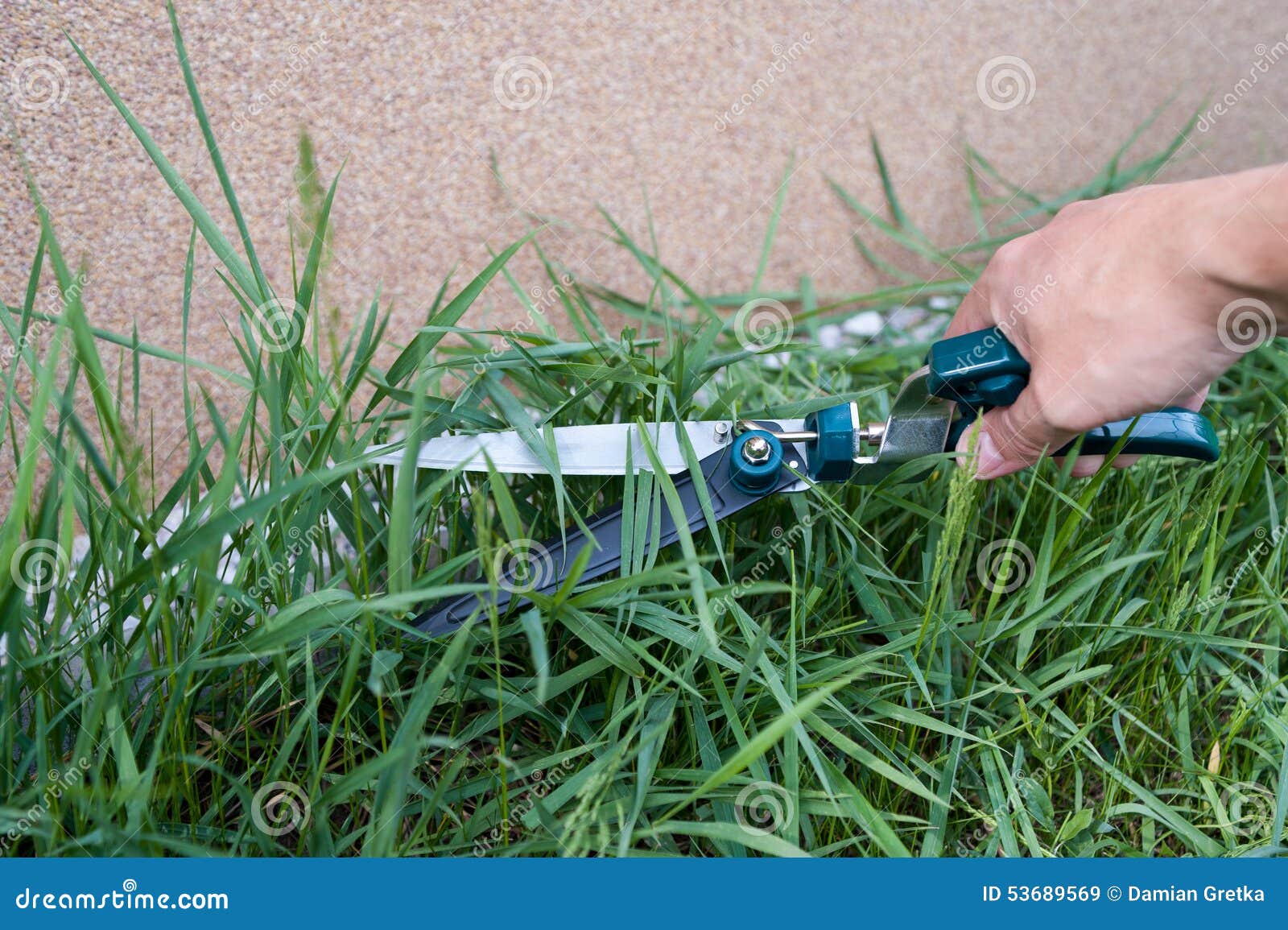 Cutting grass stock image. Image of growth, mower, closeup - 53689569