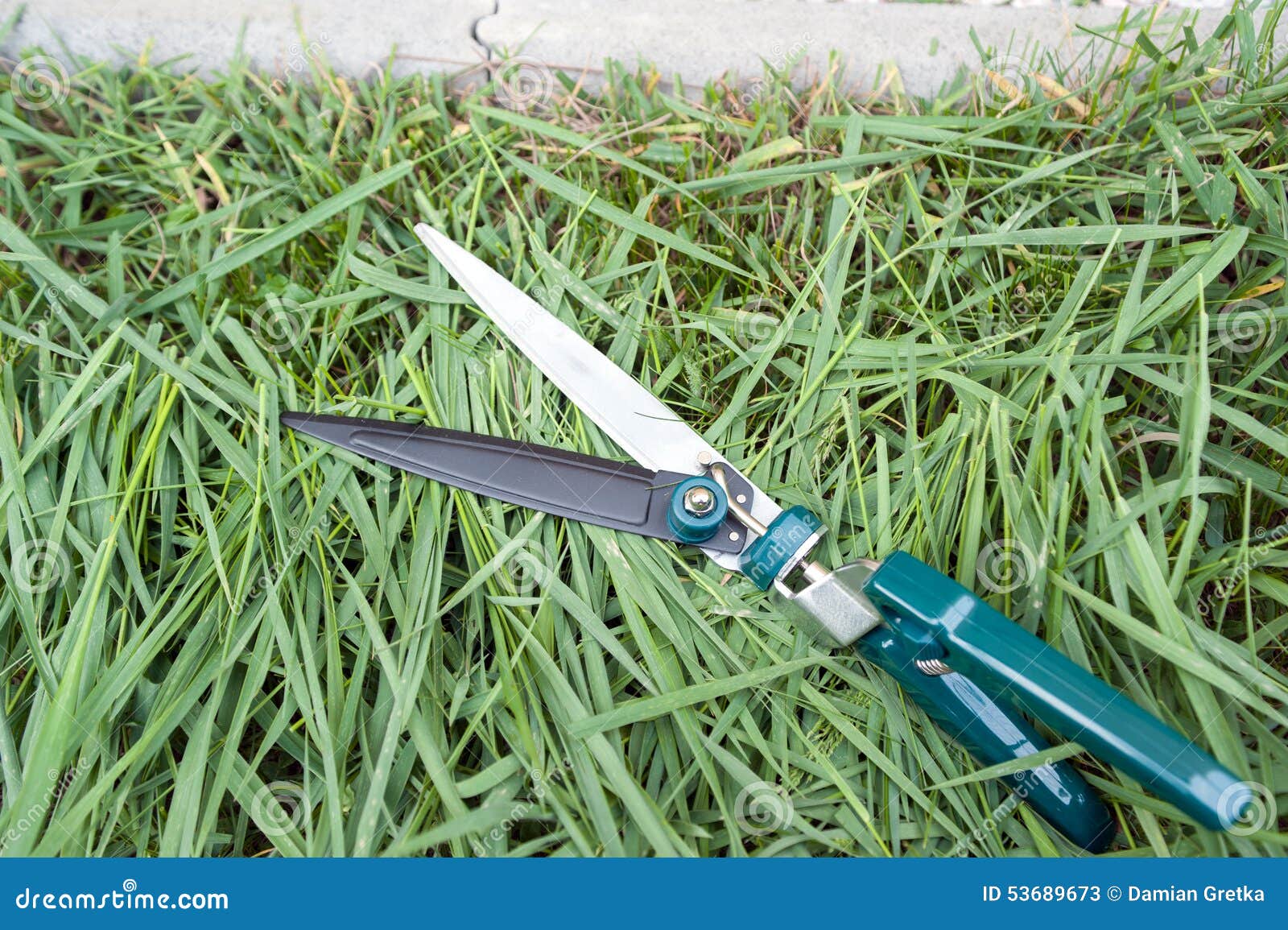 Cutting Grass Stock Image Image Of Lawn Person Growth 53689673