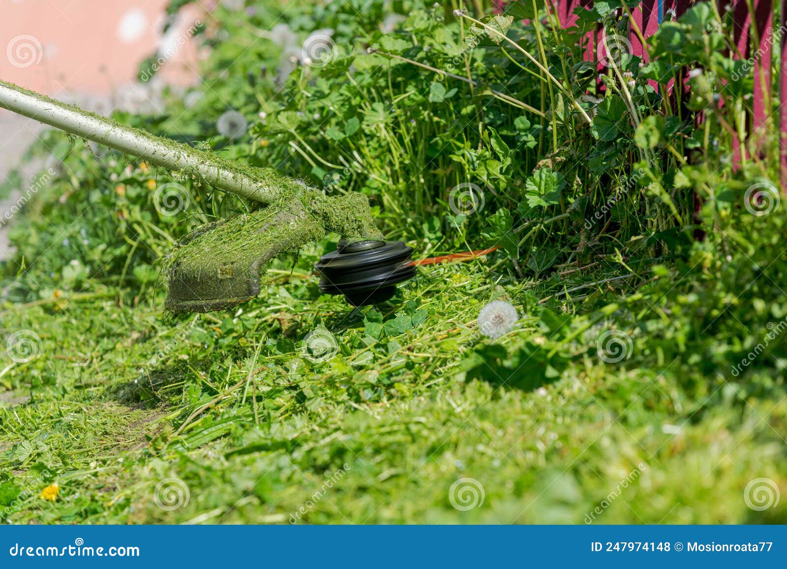 Cutting grass with machine stock photo. Image of element - 247974148