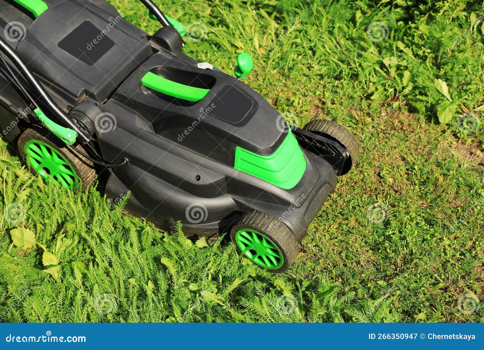 Cutting Green Grass with Lawn Mower in Garden Stock Image - Image of ...