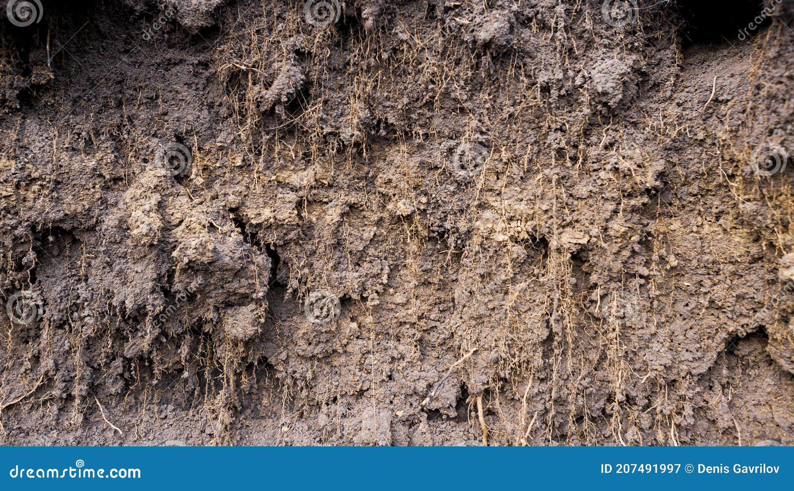 Cutting the Ground in the Field Stock Image - Image of tree, structure ...