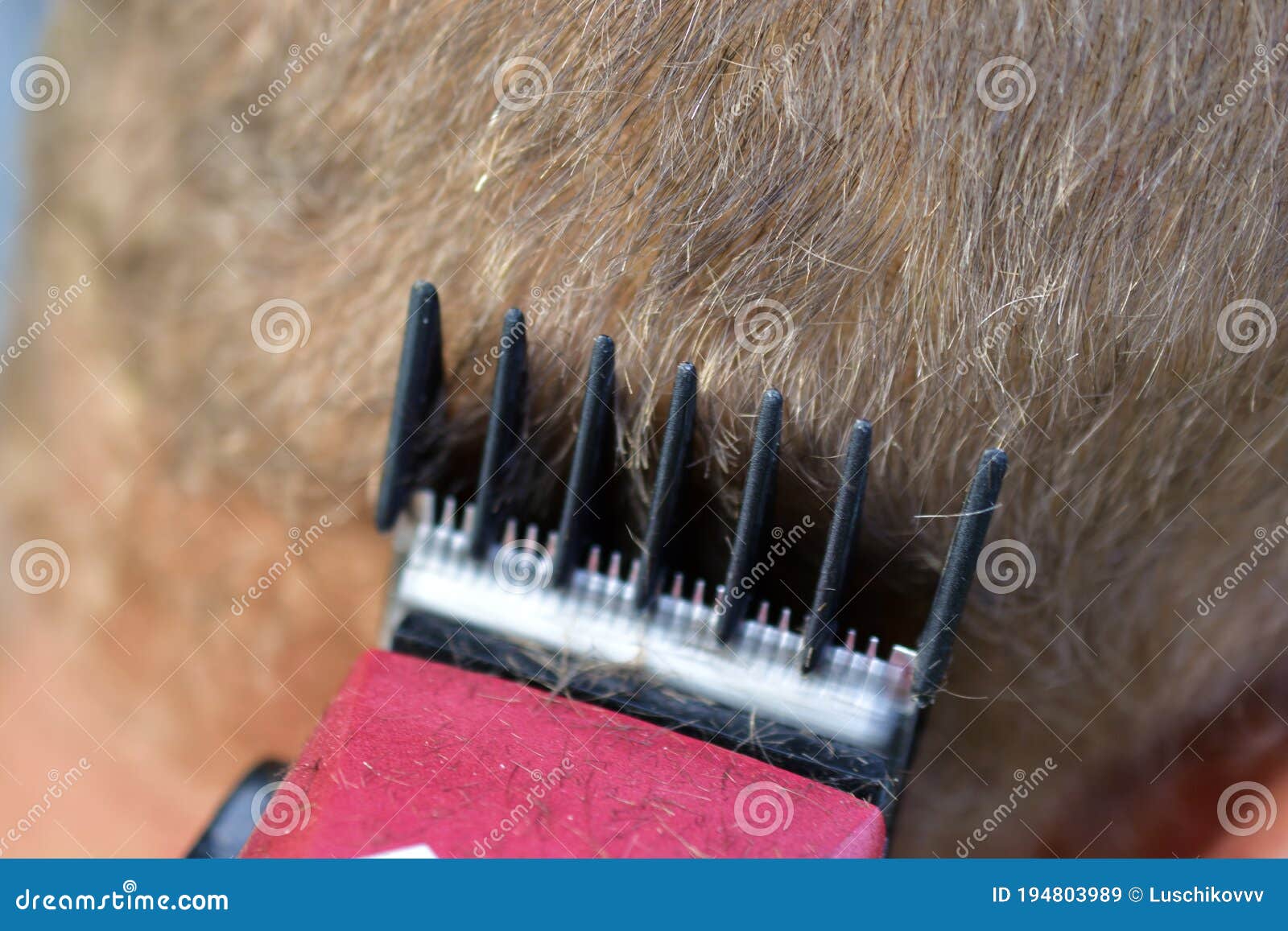 Cutting the Hair of a Man`s Head with an Electric Machine Stock Image ...
