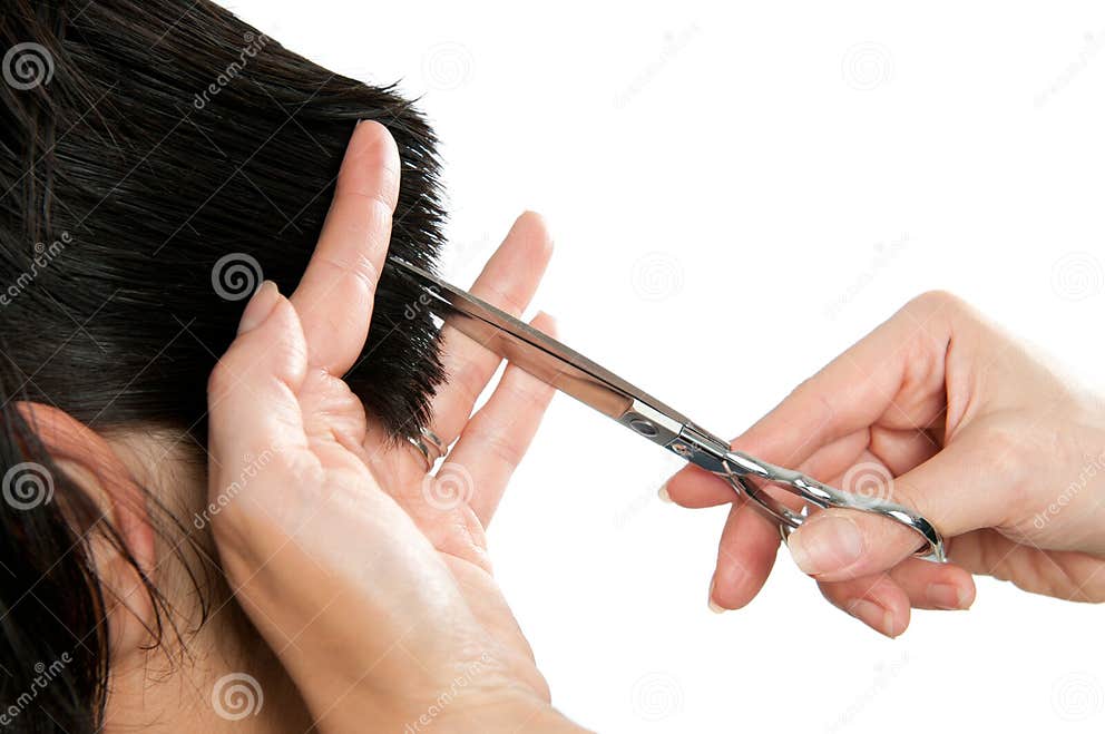 Cutting hair with scissors stock image. Image of haircutting - 21861873