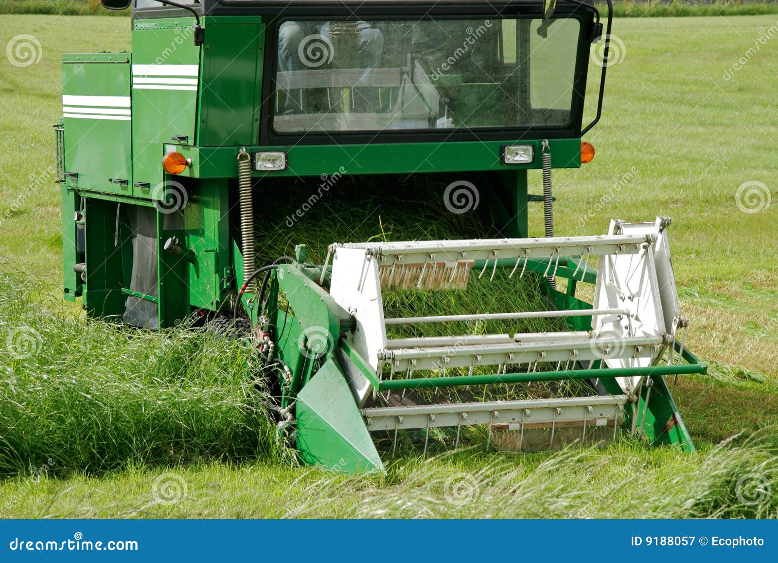 Cutting hay stock image. Image of mowing, farming, grow - 9188057