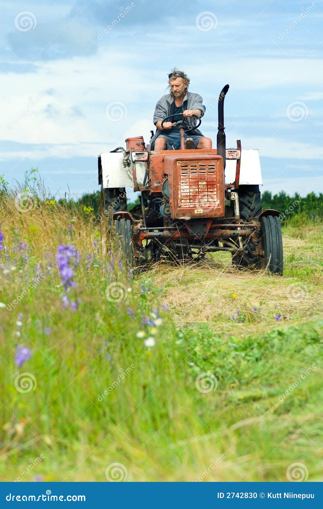 Cutting hay on tractor stock photo. Image of caucasian - 2742830