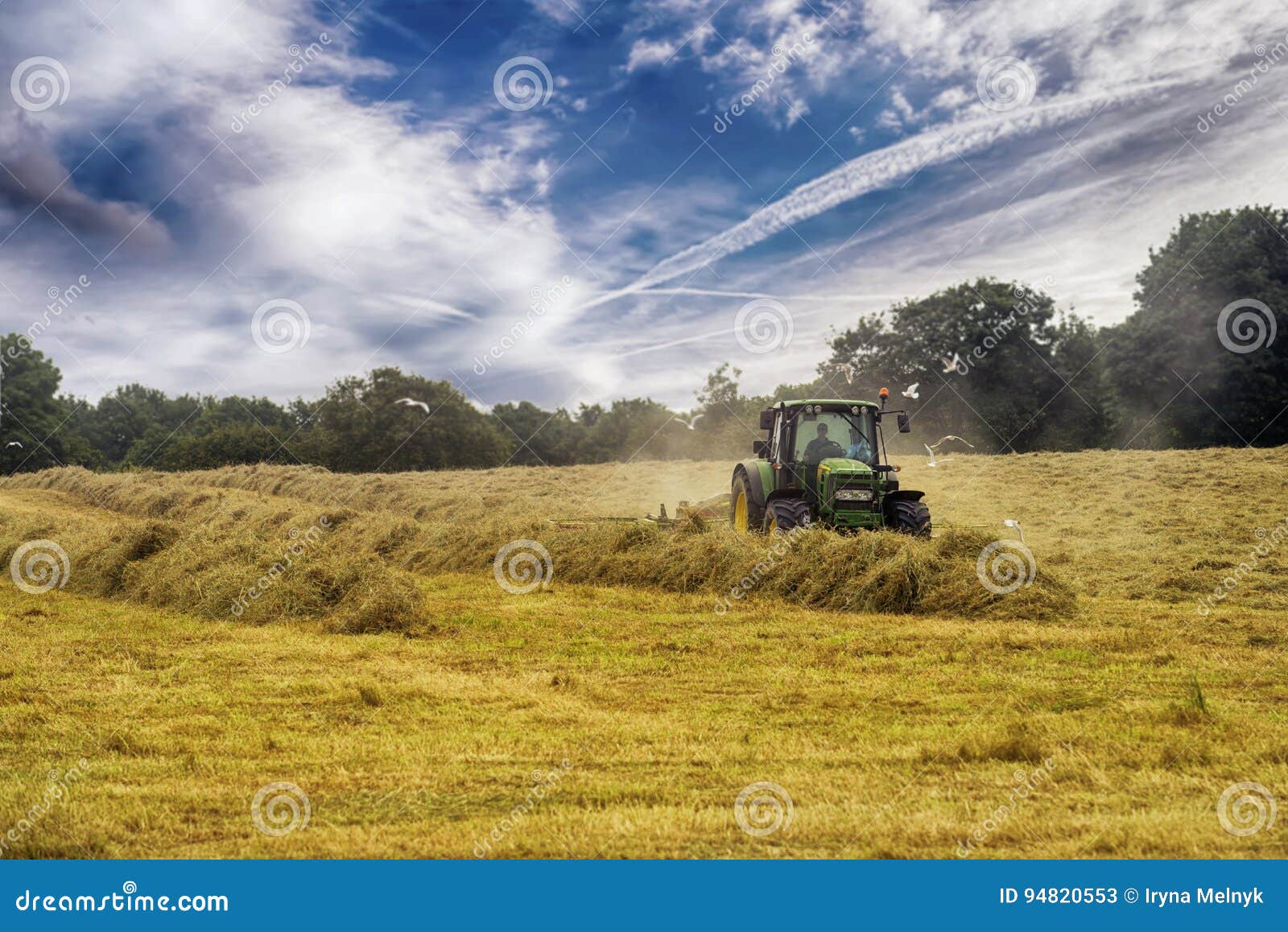 Cutting hay the tractor stock image. Image of agreculture - 94820553