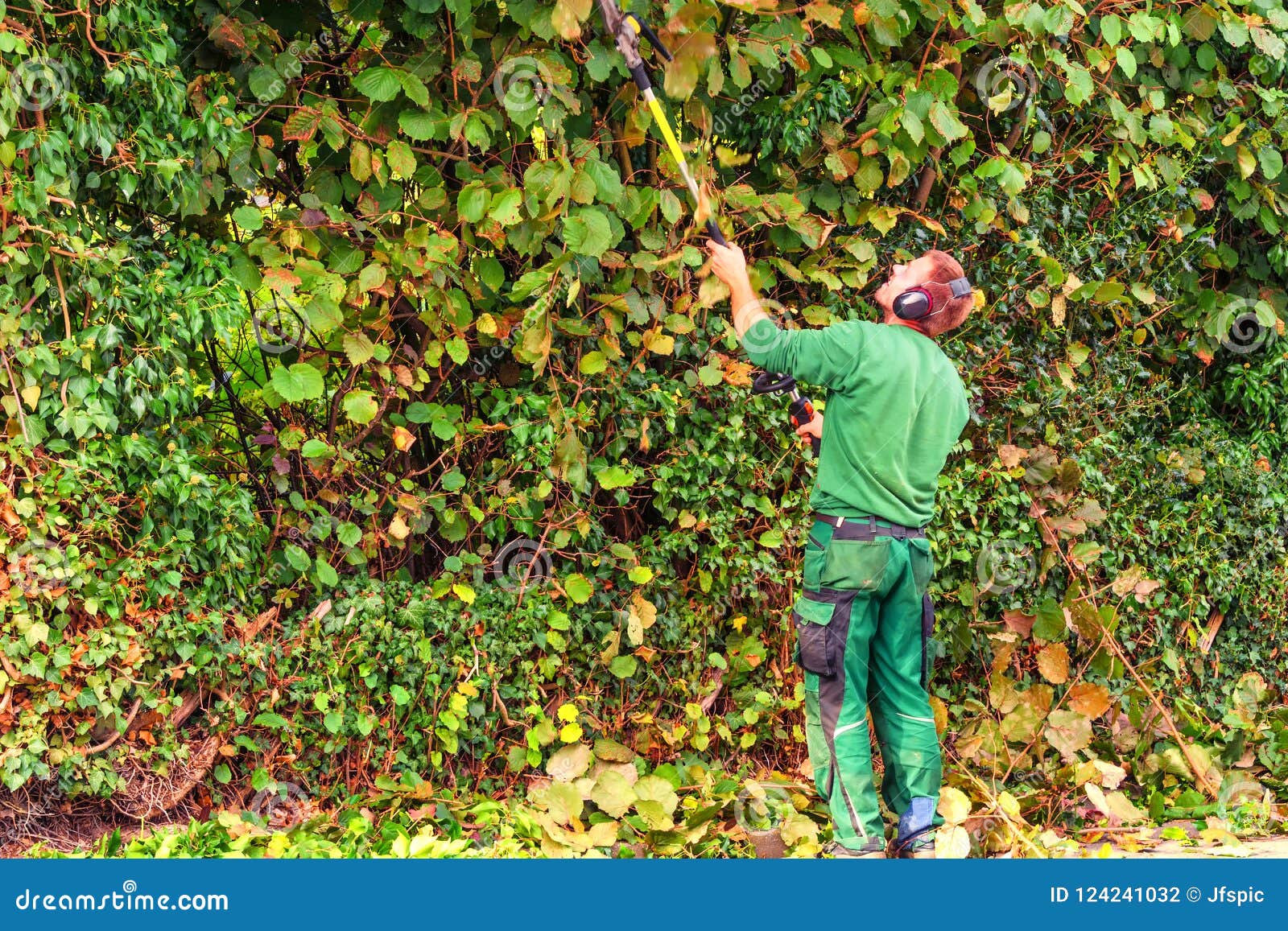 Cutting a hedge stock photo. Image of hedge, horticulture - 124241032