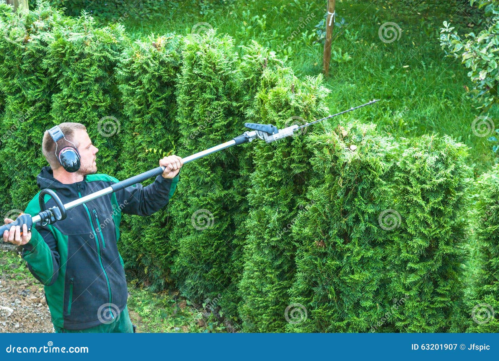 Cutting a hedge stock image. Image of landscaper, mowers - 63201907