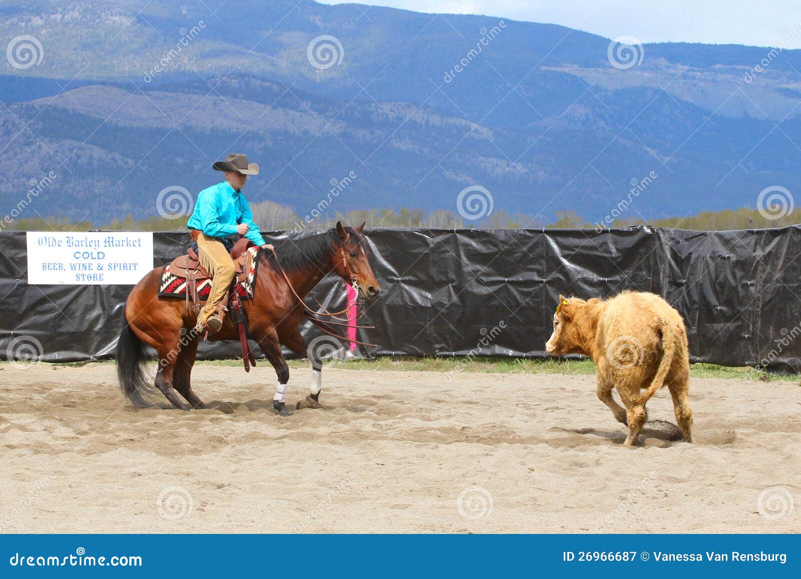 Cutting Horse Show editorial photography. Image of sport - 26966687