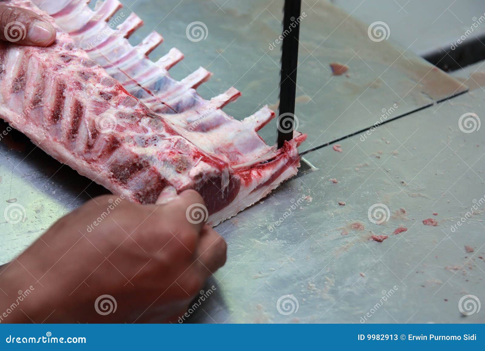 Cutting lamb rack or chop stock image. Image of human - 9982913