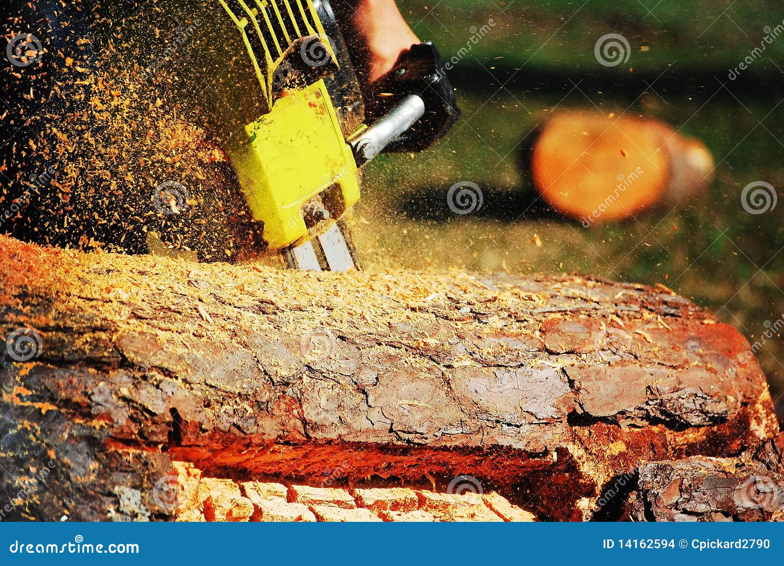 Cutting a log stock photo. Image of industry, action - 14162594
