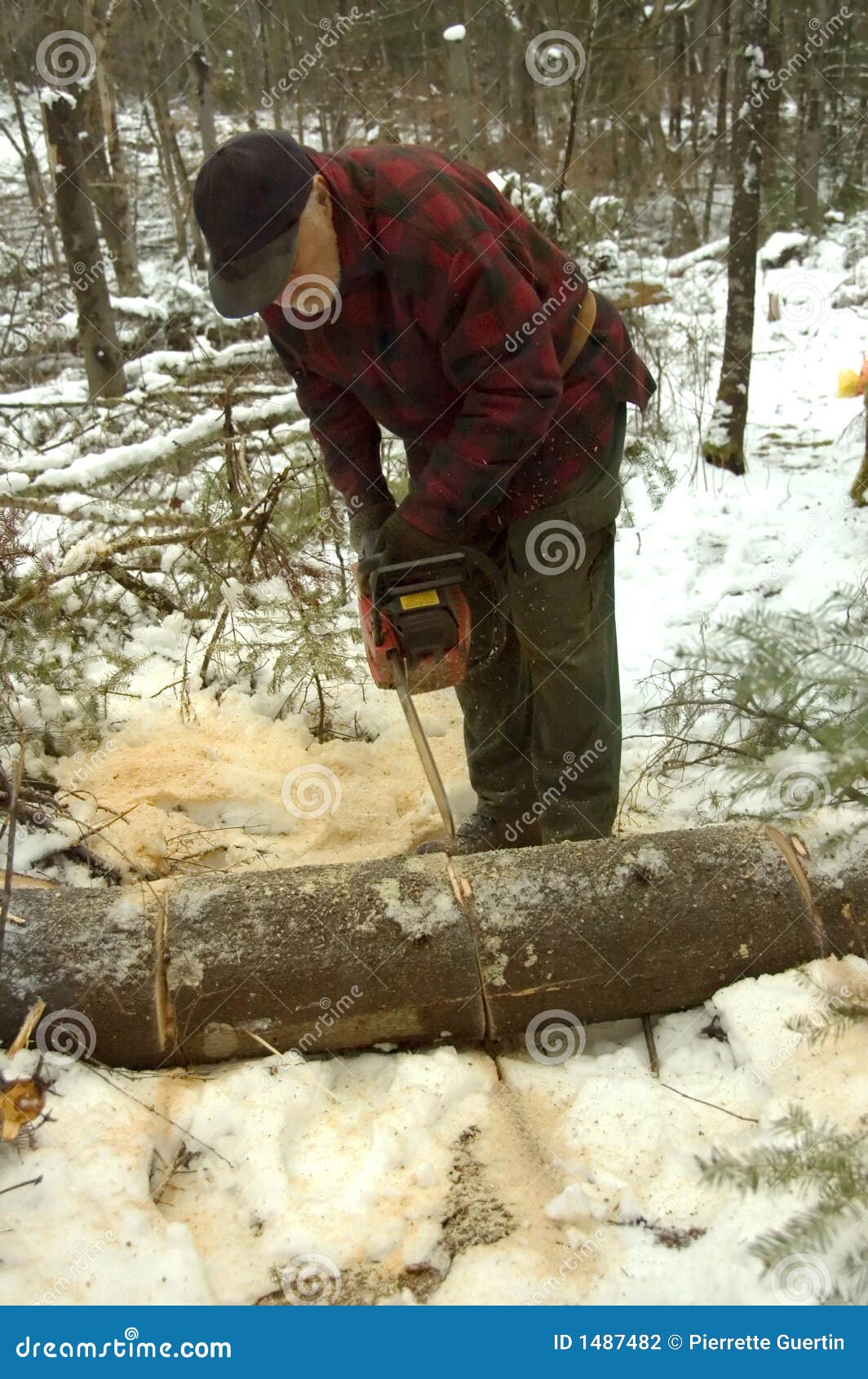 Cutting logs stock photo. Image of bucket, picker, chain - 1487482