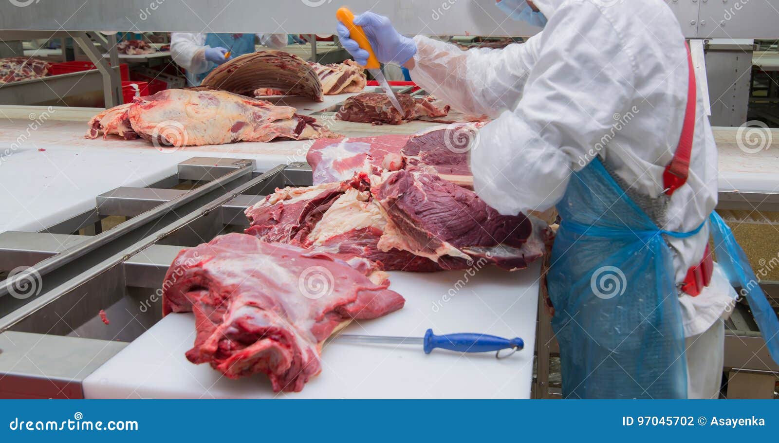 Cutting Meat Slaughterhouse Workers in a Meat Factory. Stock Photo ...