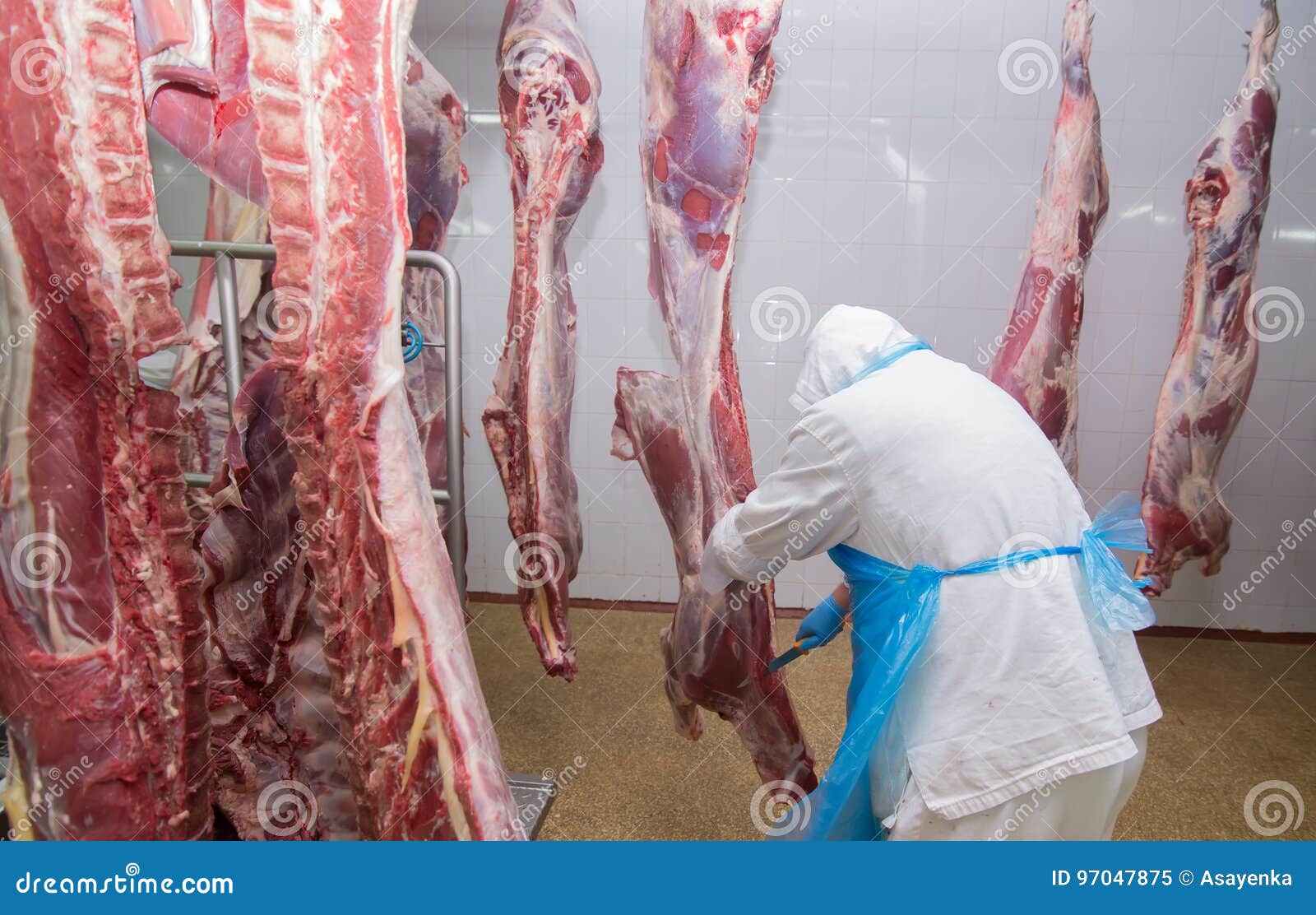 Cutting Meat Slaughterhouse Workers in a Meat Factory. Editorial Image ...