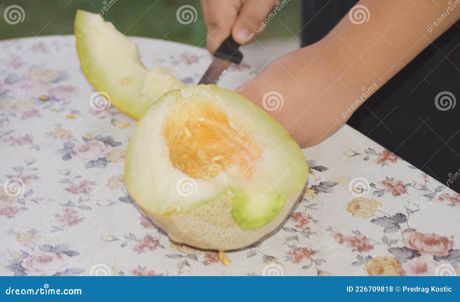 Cutting melons. stock photo. Image of ideas, cleaning - 226709818