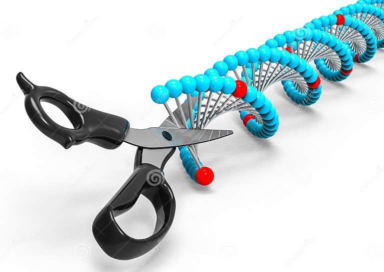 Cutting Molecule of DNA stock illustration. Illustration of genetically ...