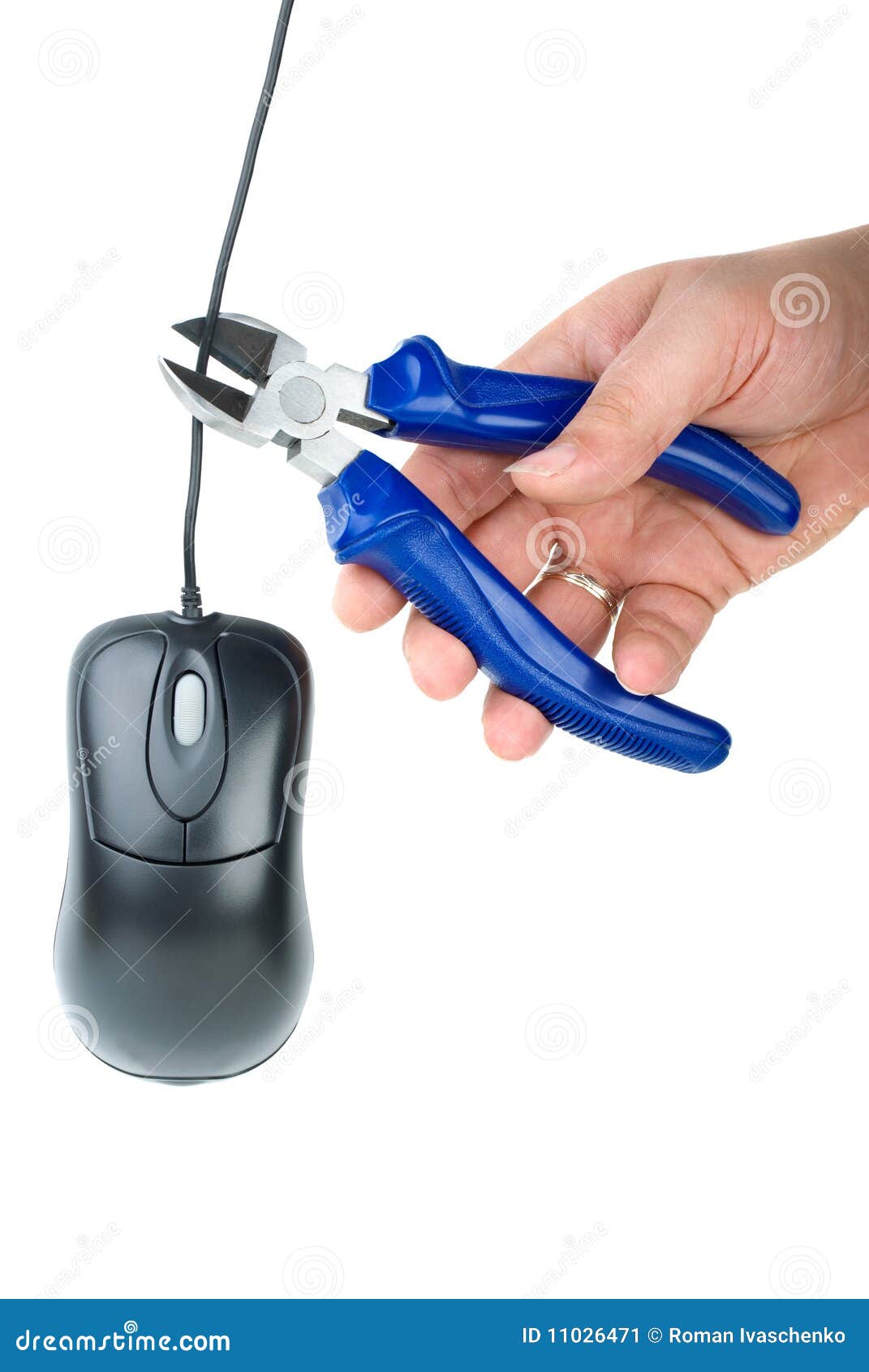 Cutting mouse cable stock image. Image of wheel, mouse - 11026471