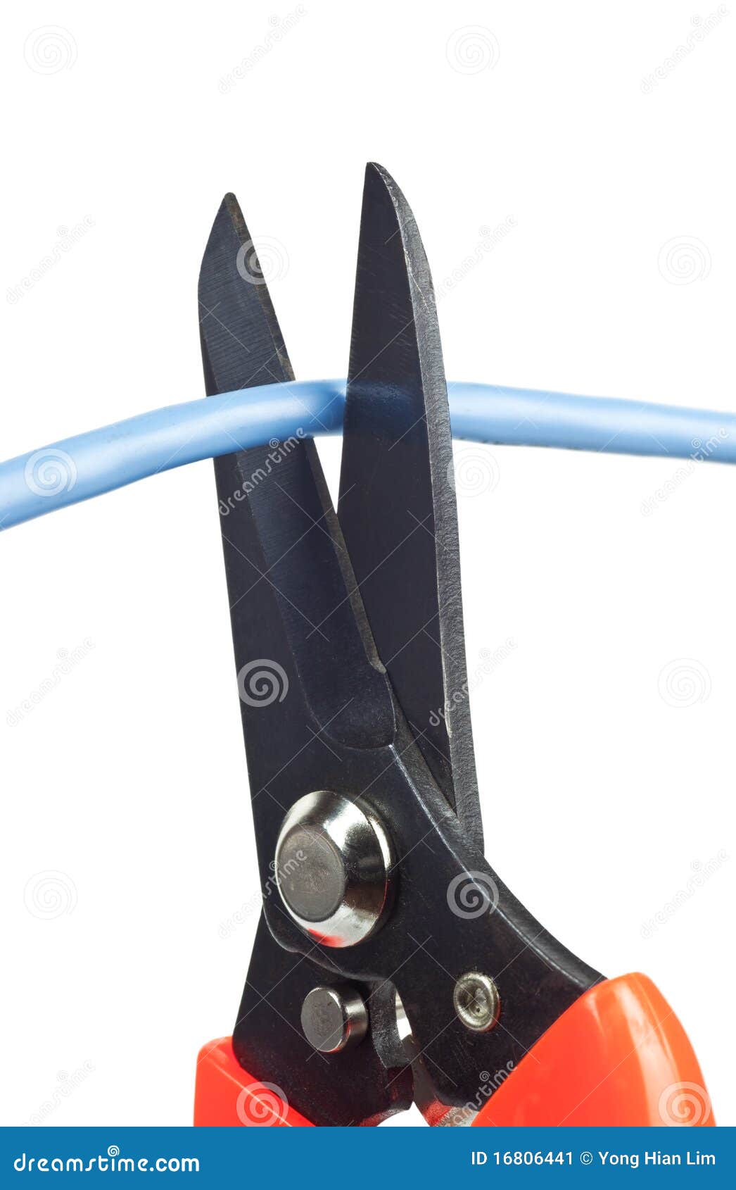 Cutting network cable stock image. Image of ethernet - 16806441