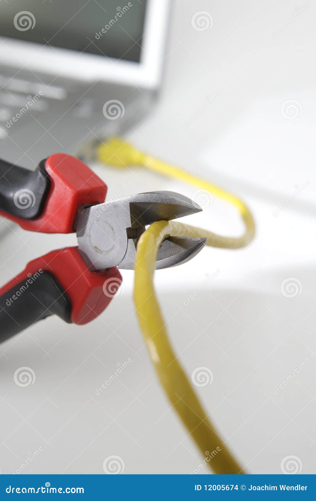 Cutting network wire stock photo. Image of accessing - 12005674