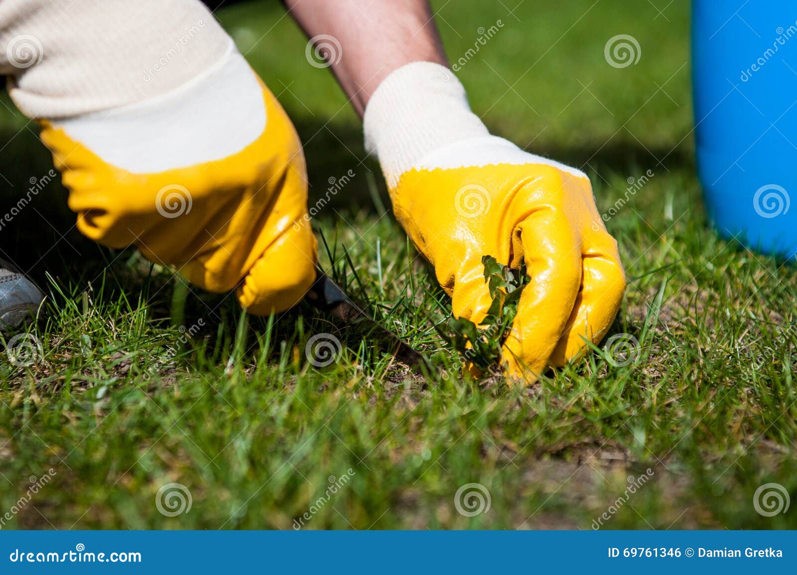 Cutting out weeds stock photo. Image of weed, plant, dirt - 69761346