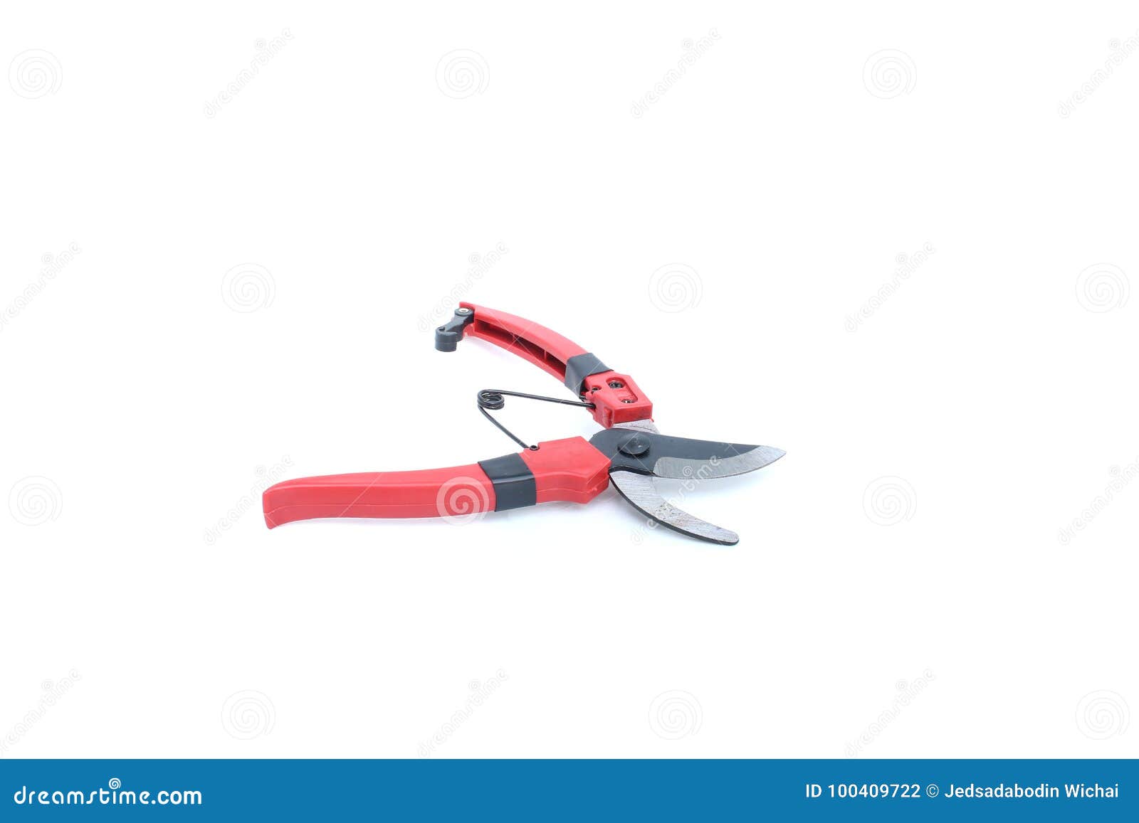 Cutting Pliers of Tree on Isolated Stock Photo - Image of cutting, pair ...