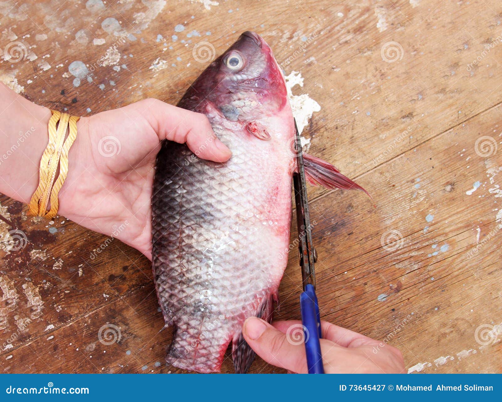 Cutting Raw Fresh Tilapia Fish Stock Image - Image of mediterranean ...