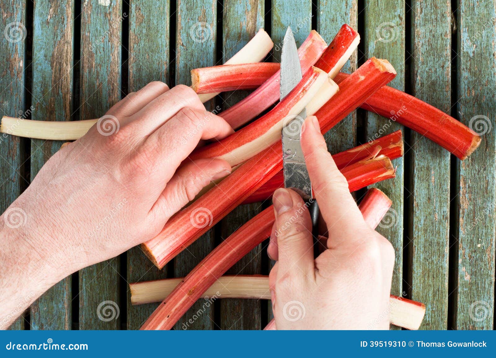 Cutting rhubarb stock photo. Image of organic, board - 39519310