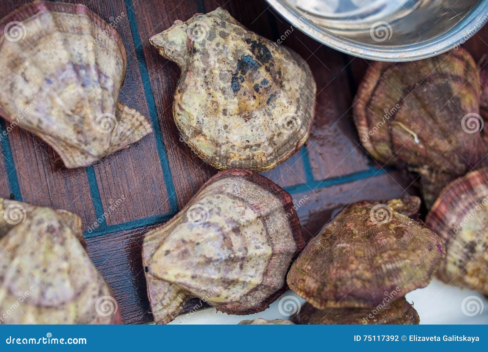 Cutting scallop shells stock photo. Image of kitchen - 75117392
