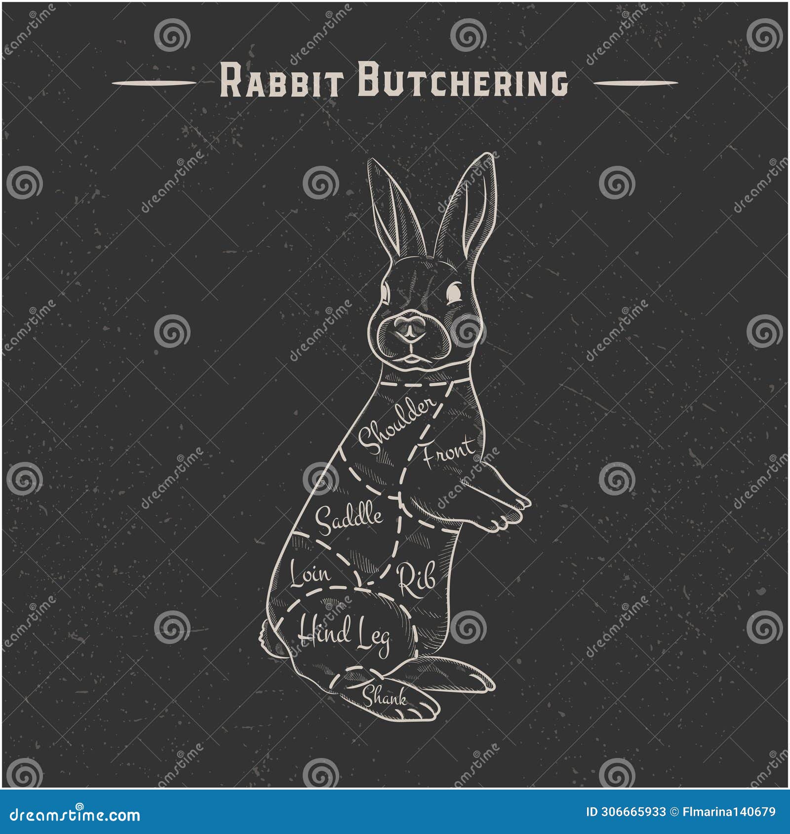 Cutting Scheme Rabbit in Vector Style - White Lines on Gray Background ...