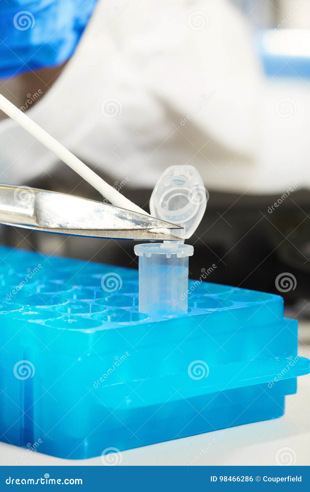 Cutting Swab for Dna Sample Preparation Stock Photo - Image of medicine ...