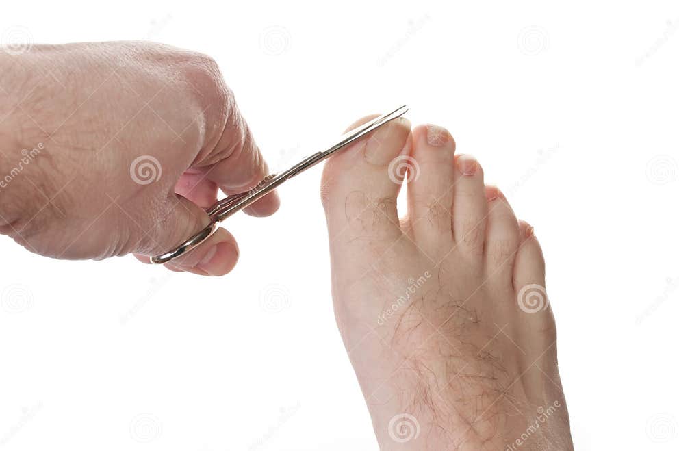 Cutting toe nails stock photo. Image of removing, nails - 18161370