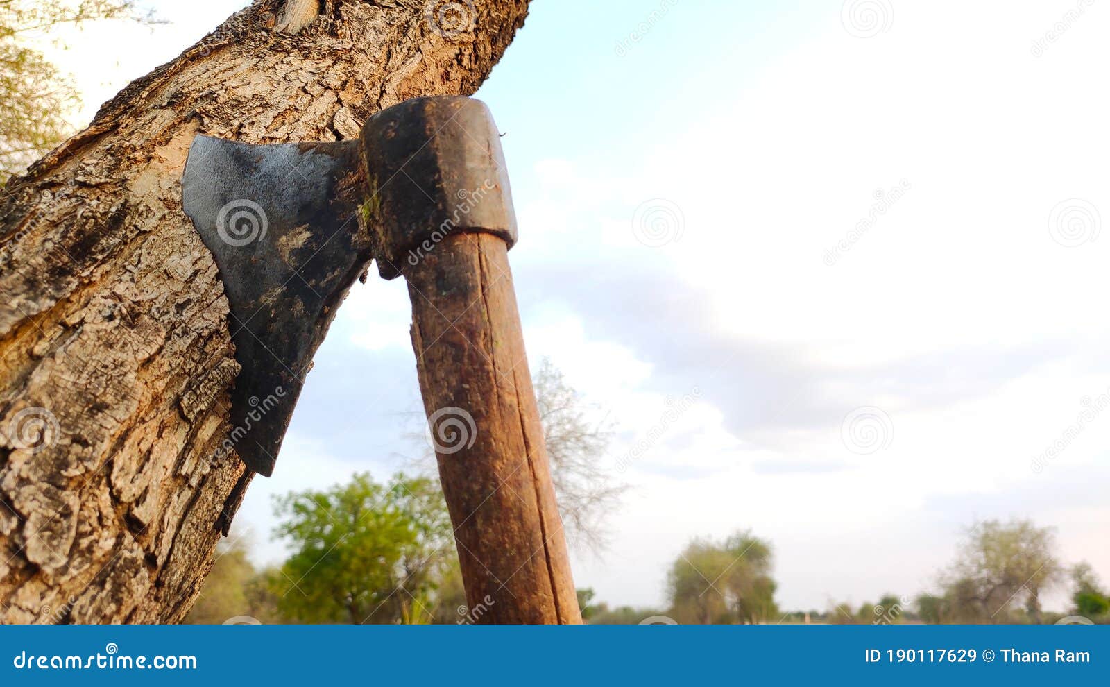 Cutting Tree by Ax, Close Up View Stock Image - Image of outdoors ...