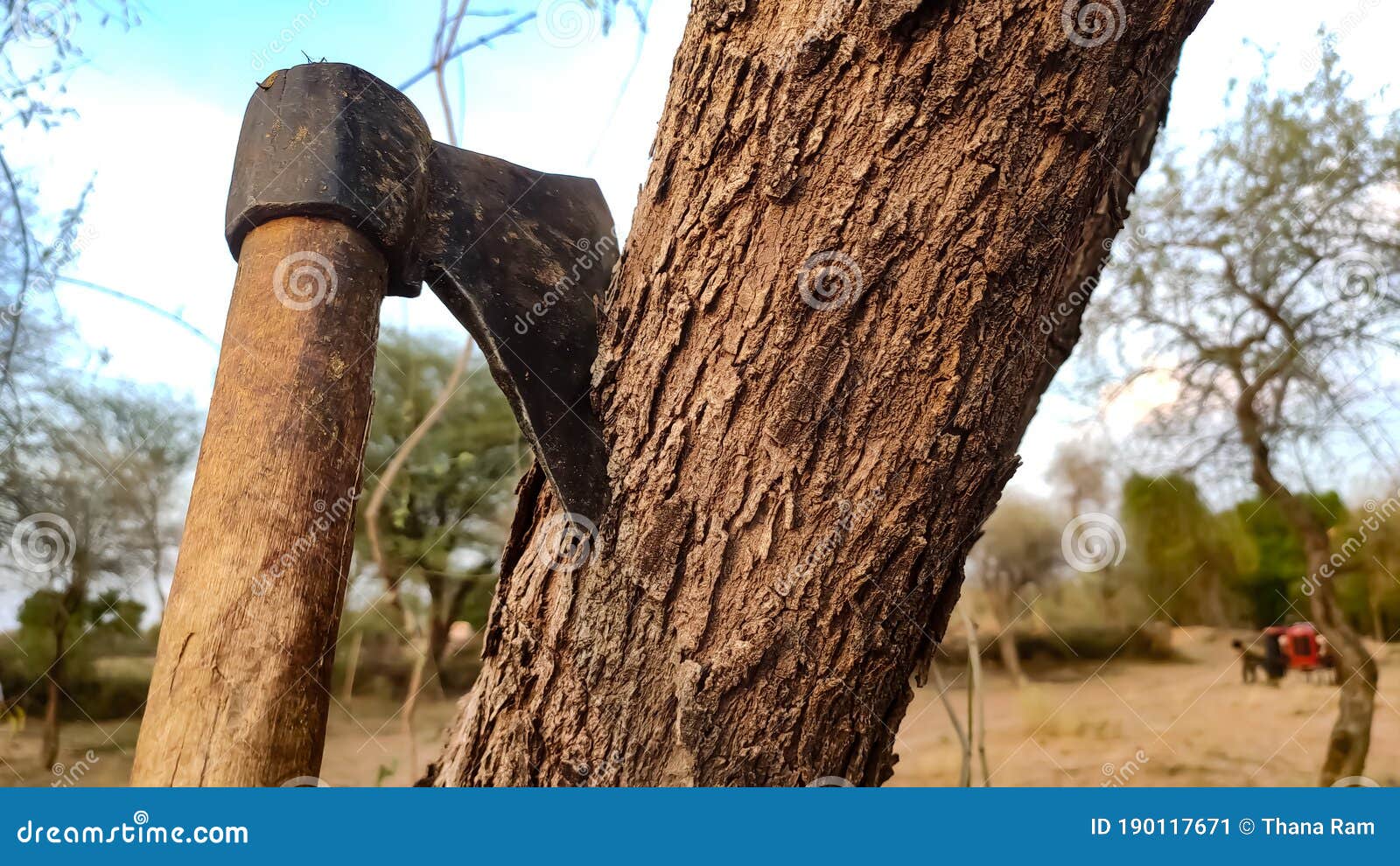 Cutting Tree by Ax, Close Up View Stock Image - Image of outdoors ...