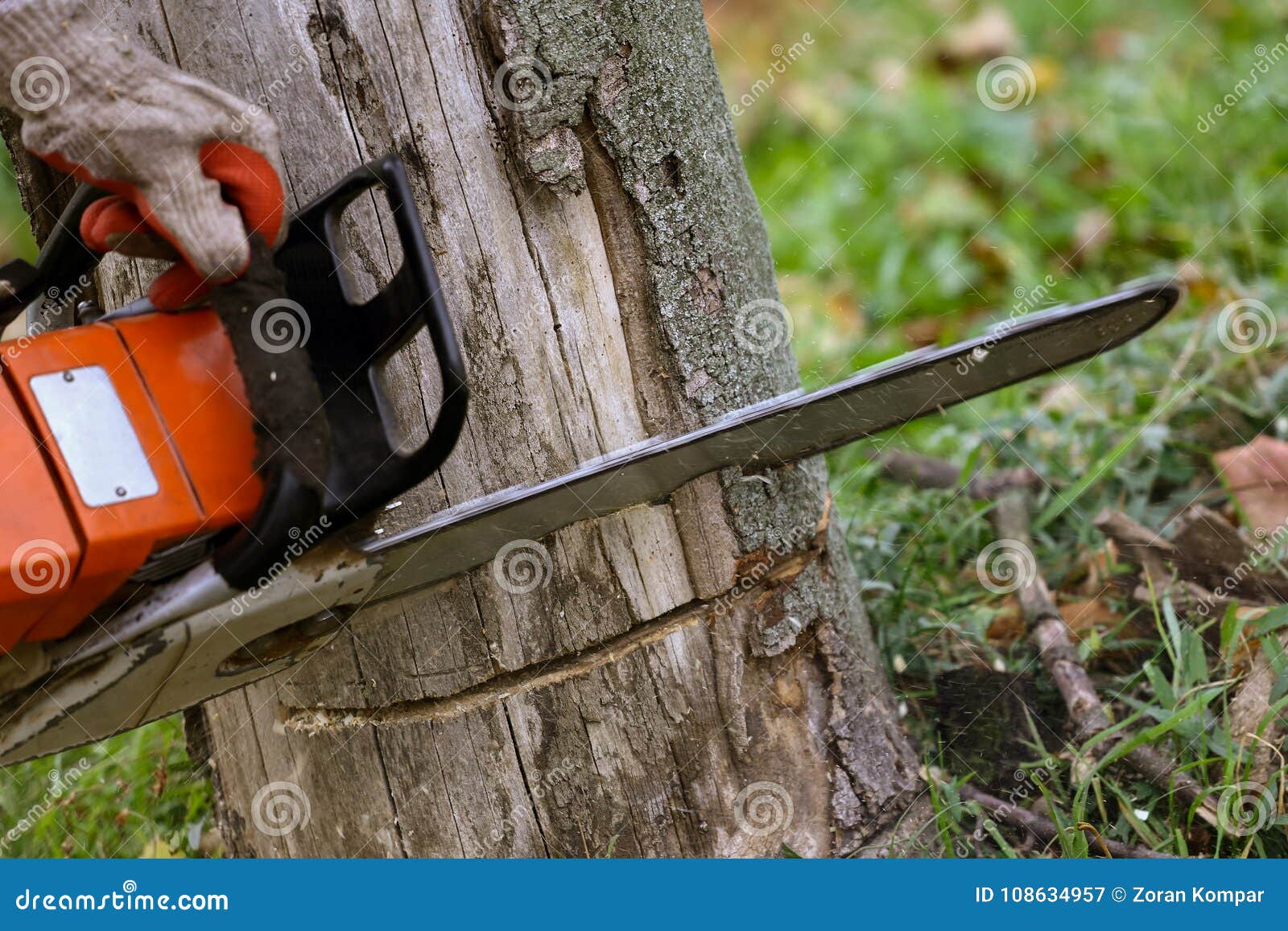 Cutting Tree with a Chainsaw Stock Image - Image of safety, sharp ...