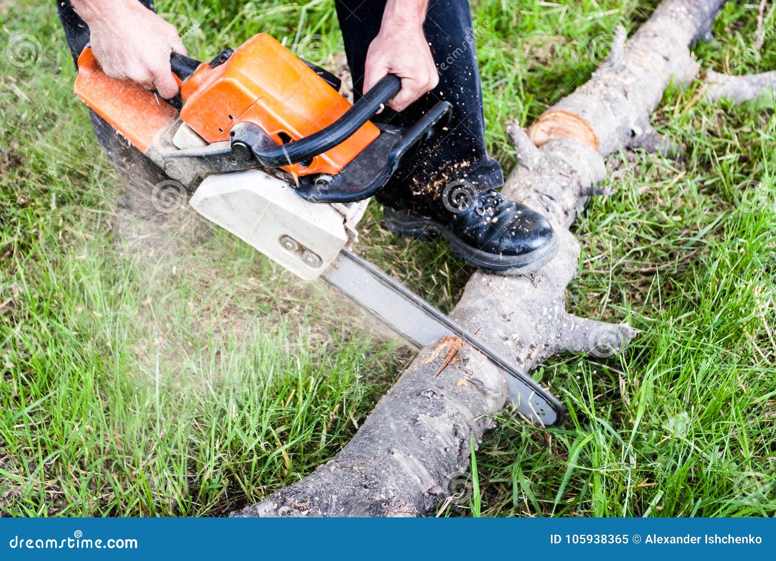 Cutting Tree with a Chainsaw Stock Image - Image of season, sawing ...