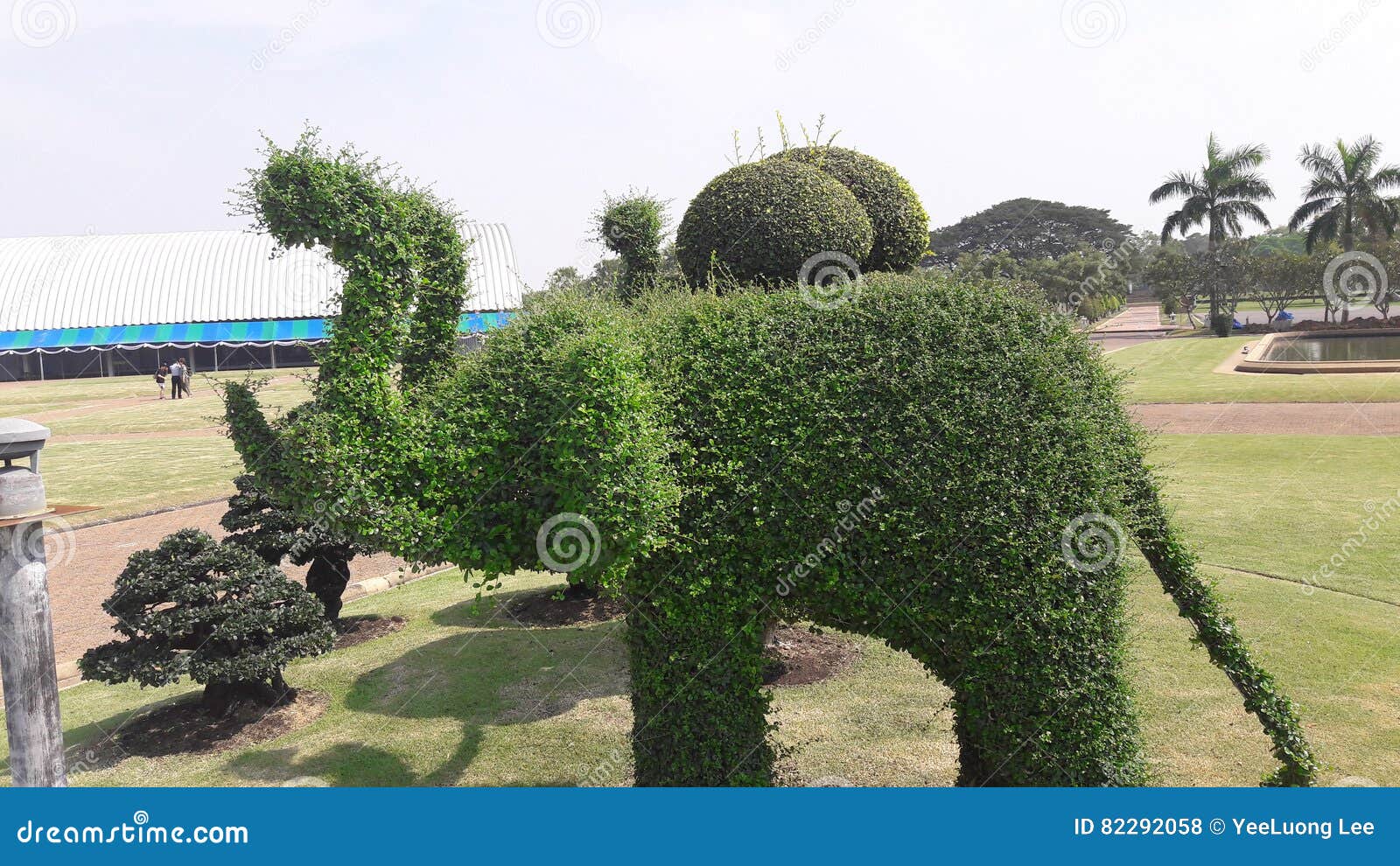 Cutting Tree in Elephant Style Stock Photo - Image of elephant, tree ...