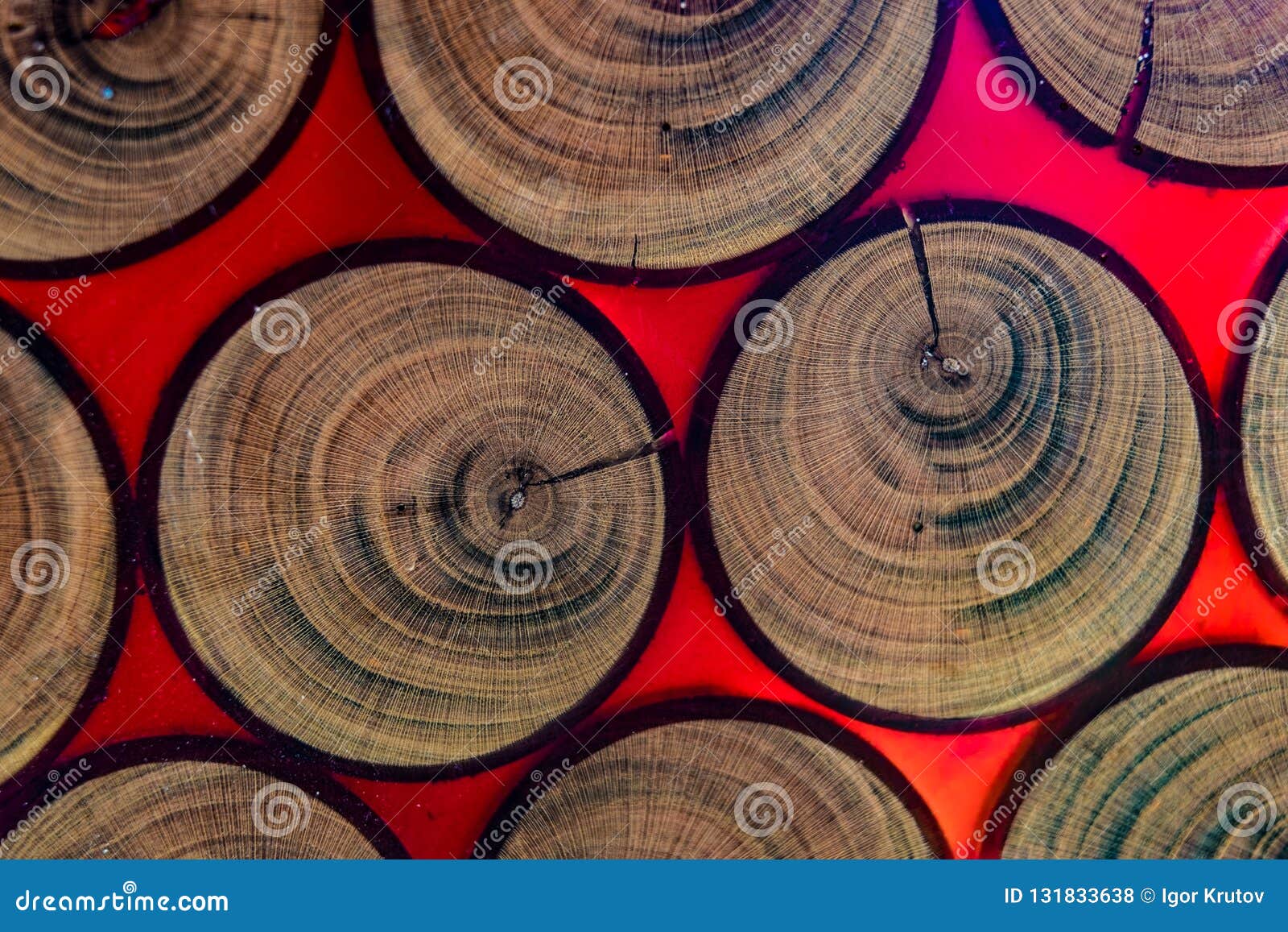 Cutting a Tree Trunk in Epoxy Resin Stock Photo - Image of hardwood ...
