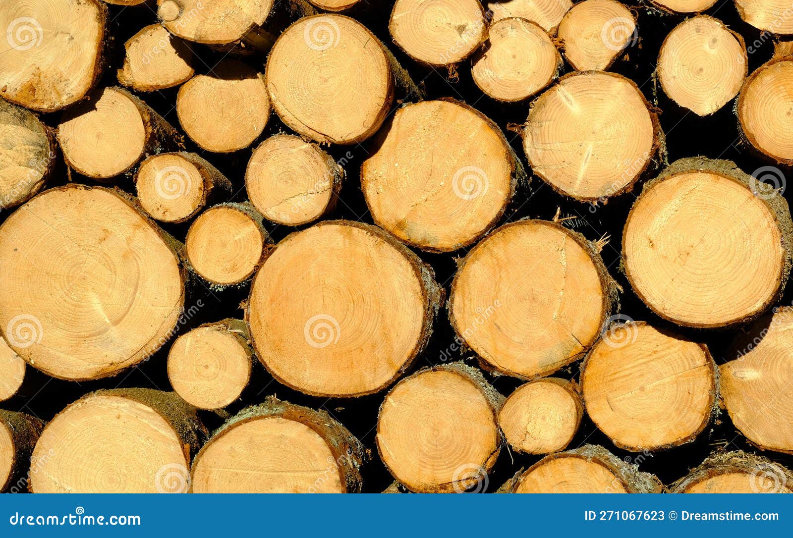 Cutting Tree Trunks Stacked Together for Interior Decoration ...
