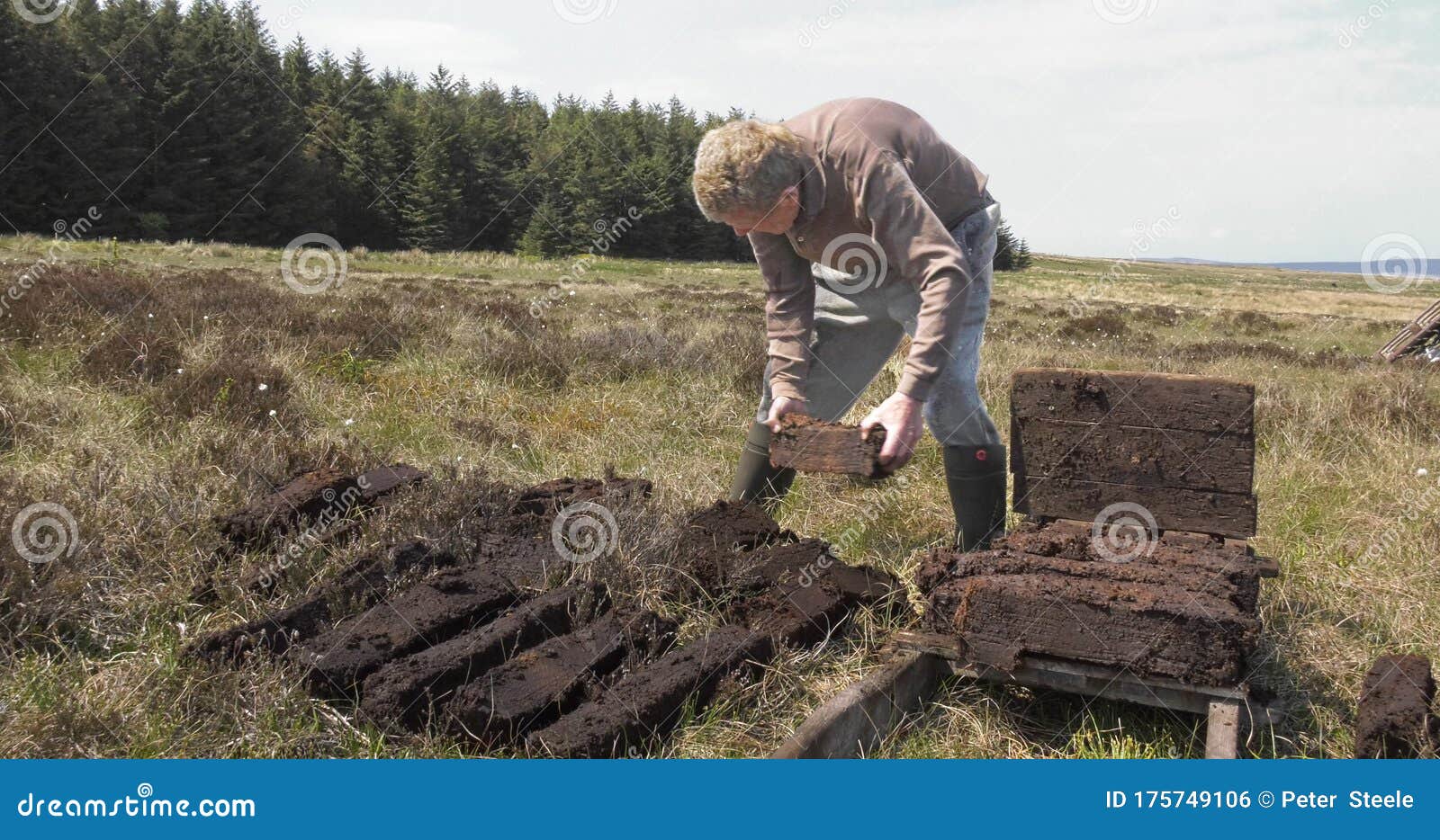 Cutting Turf Peat by Spade in Moss Bog in Ireland Stock Photo - Image ...