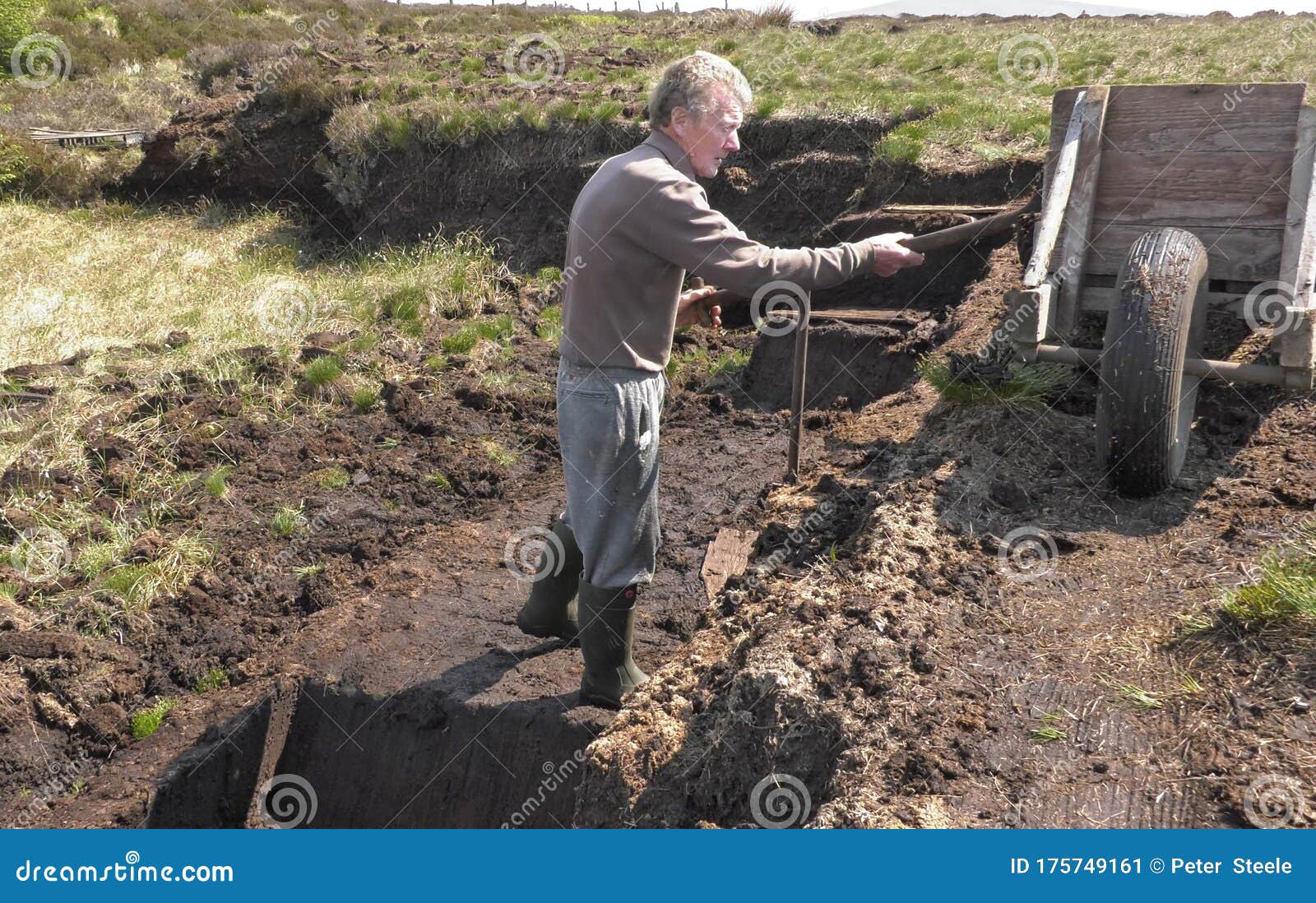 Cutting Turf Peat by Spade in Moss Bog in Ireland Stock Image - Image ...